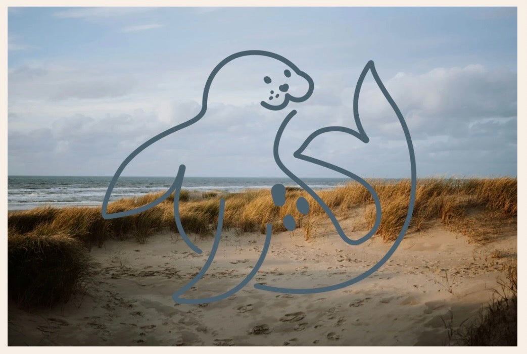 spotted-seal clothing, Norfolk coastal clothing